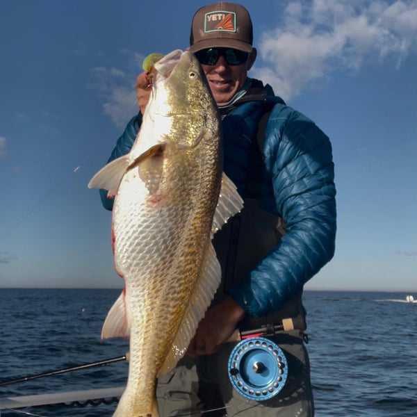 Offshore & Inshore action has been on fire 🔥! - Off The Hook Fishing ...