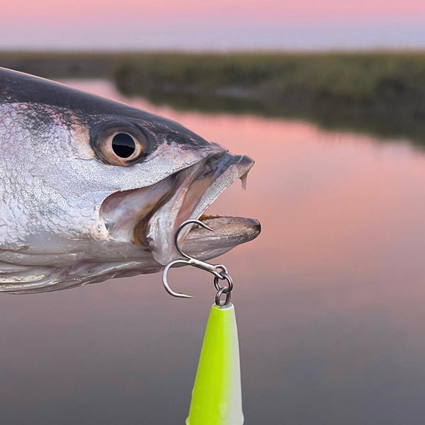 Love this time of the year catching em’ on topwater plugs. - Off The ...