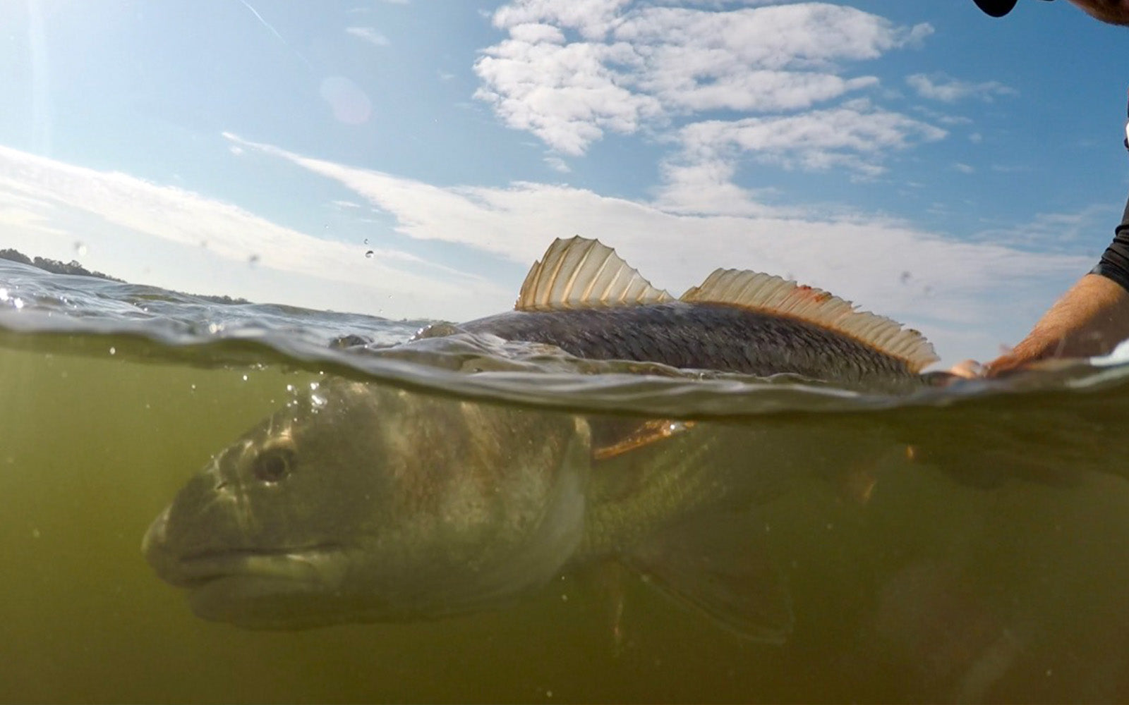 Hilton Head Island Fishing with Off The Hook Fishing Charters